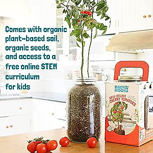 Back to the Roots Cherry Tomato Organic Windowsill Planter Kit - Grows Year Round, Includes Everything Needed For Planting