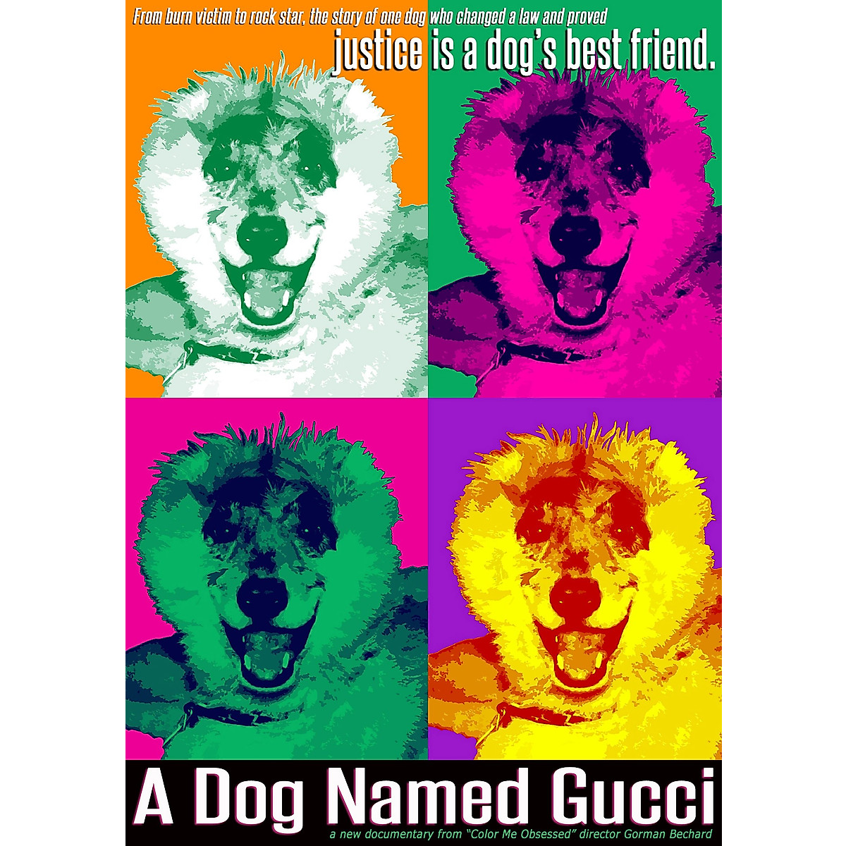 A Dog Named Gucci