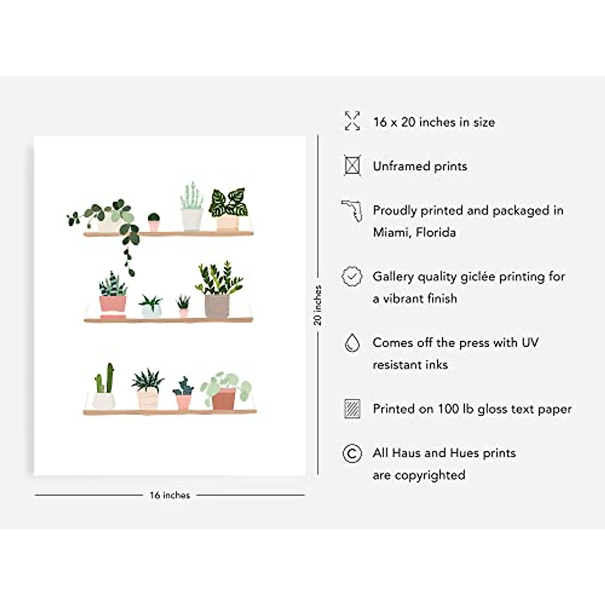 HAUS AND HUES Plant Pictures Wall Art - Succulent Art Wall Decor, Plant Prints Wall Art & Botanical Plant Wall Art Prints, Cactus Poster Botanical Flower pots on Shelves (Unframed, 16x20)