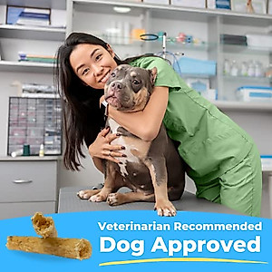 Tartar Shield Soft Rawhide Chews | Safe Dental Treats for Small Dogs | Vet VOHC Approved | Daily Bone Cleans Teeth & Gums Fresh Breath Oral Health Support | USA Made | (Small Dogs / 12 Count)