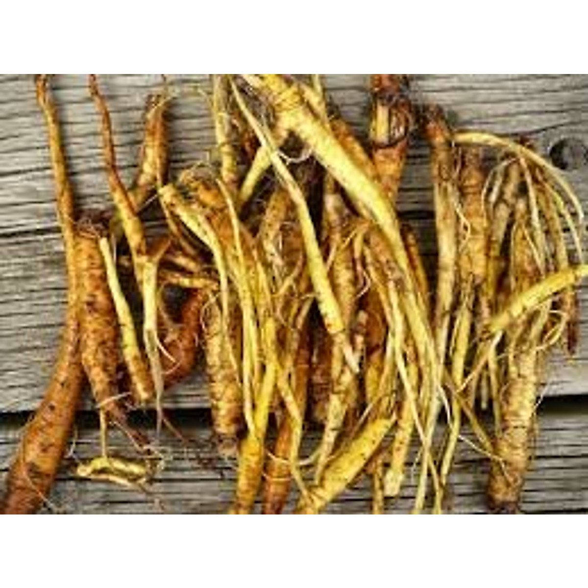 (Spoken of by Dr. Sebi) Bio Iron/Herbal Iron- 100 Capsules