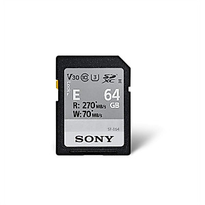 Sony ZV-E10 APS-C Mirrorless Interchangeable Lens Vlogging Camera with 16-50mm Lens, Black - Bundle with Sony ACCVC1 Vlogger Accessory Kit (Shooting Grip & 64GB UHS-II SDXC Card)