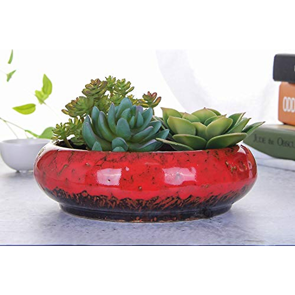VanEnjoy 7.3 inch Round Large Shallow Succulent Ceramic Glazed Planter Pots with Drainage Hole, Bonsai Pots Garden Decorative Cactus Stand Flower Container (Red)