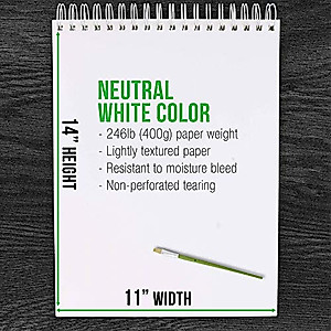 U.S. Art Supply 9" x 12" Premium Extra Heavy-Weight Acrylic Painting Paper Pad, 246 Pound (400gsm), Spiral Bound, Pad of 12-Sheets (Pack of 2 Pads)