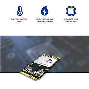 mSATA SSD 1TB SHARKSPEED Plus Internal Mini SATA SSD Drive 3D NAND Solid State Drive for Mini PC Notebooks Tablets PC(mSATA 1TB)