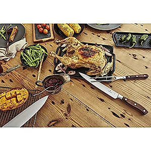 Victorinox 7.6394 Oyster Knife Easily Shuck Oysters and Open Shellfish Straight Blade in Black, 6.5 inches