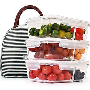 DAS TRUST 3 Pack 36oz Glass Food Storage Containers 2 Compartments Glass Meal Prep Containers with Lids for Adult Food Prep Containers with Divider Reusable Lunch Bento Box