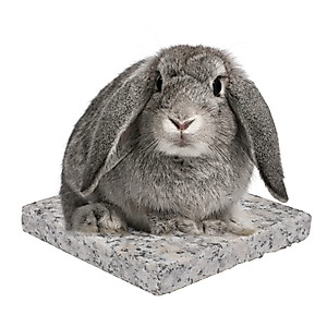 STOBOK 2Pcs Pet Cooling Mat, Granite Material, 9x9cm, Rabbit, Hamster, Chinchilla