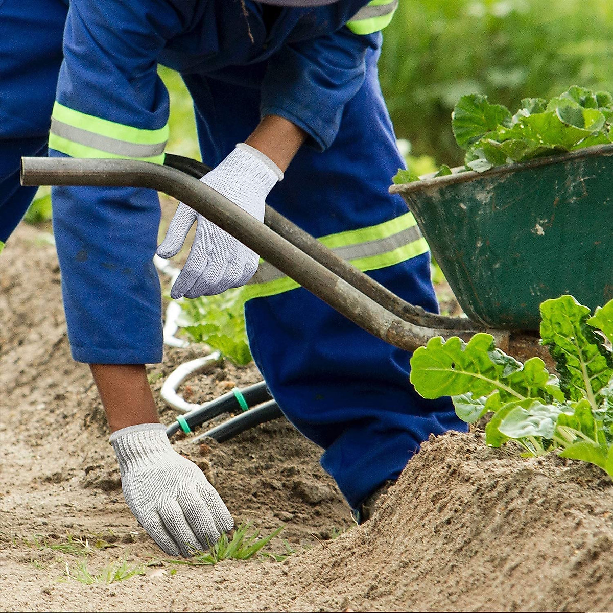 Evridwear Cotton Polyester String Knit Shell Safety Protection Work Gloves for Painter Mechanic Industrial Warehouse Gardening Construction Men & Women 12 Pairs, no Dots, Large Size