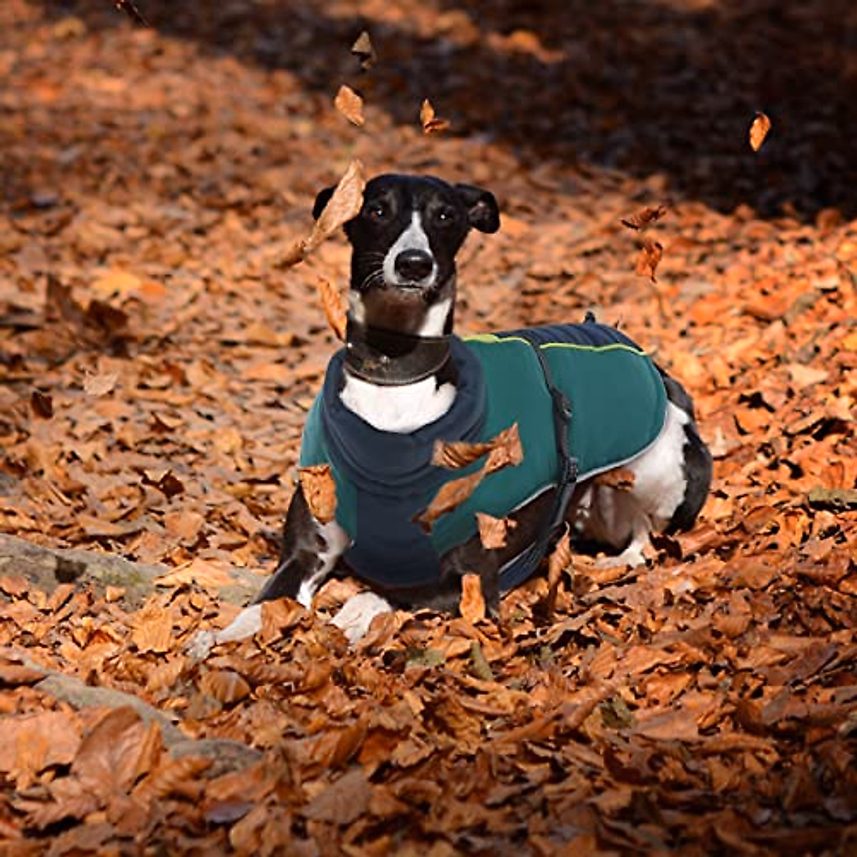 Warm Dog Winter Coat Reflective Dog Cold Weather Jacket Turtleneck Dog Vest Thick Fleece Lining Vest Windproof Dog Snow Suit Pet Apparel for Small Medium Large Dogs (Medium)