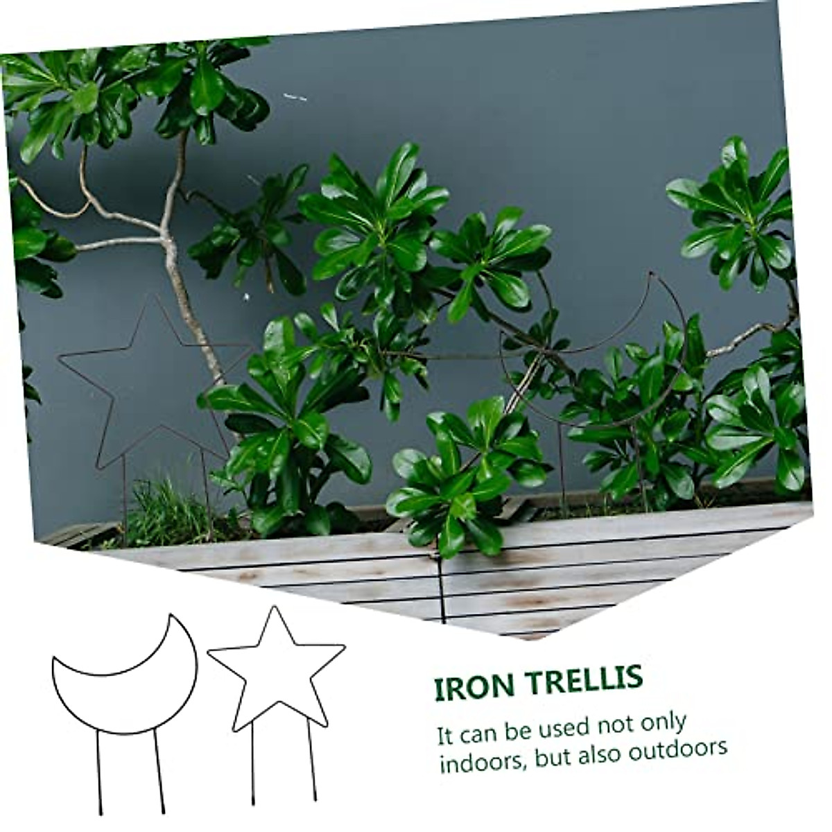 COHEALI 2pcs Flower Arrangement Roses Plants Tomato Plants Flowers Plants Flowers Trellis Climbing Plant Support Plant Support Ring Flower Support Rack Plant Stem Support Iron Trellis Vine