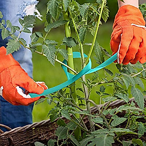 4 Rolls Stretch Tie Tape, 1/2 Inch Wide Garden Tie Tape Thick Plant Ribbon Garden Green Vinyl Stake for Branches, Flowers, Plants, Total 600 Feet (0.5 Inches)