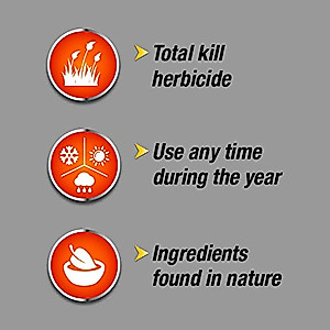 Pulverize PWBV-C-032, Brush Killer Concentrate Fast Acting, Non-Staining Weed Vine, 32 Ounce