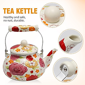 Anxingo Colorful Water Tea Kettle,Tea Kettle Pot for Stove, Top Porcelain Large Enamel Tea Kettle 2.5L,Retro Classic Design (style 2)