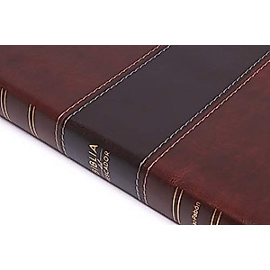 Reina Valera 1960 Biblia del Pescador, letra grande, caoba símil piel | RVR 1960 Fisher of Men Bible Hand size, Mahogany LeatherTouch (Spanish Edition)