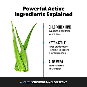 PetHonesty Chlorhexidine Shampoo + Allergy Support Soft Chew Bundle - All-Natural Dog Vitamins, Fish Oil for Dogs, Omega 3 for Dogs, Itch Relief, Shiny Dog Coat, Dog Shampoo for Allergies