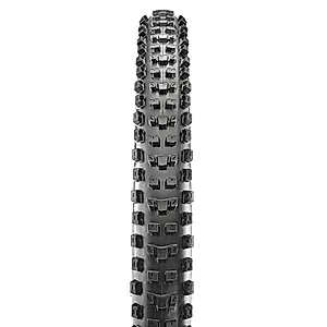 Maxxis Dissector 29 X 2.4 WT 60 TPI Folding Dual Compound EXO/TR,Black