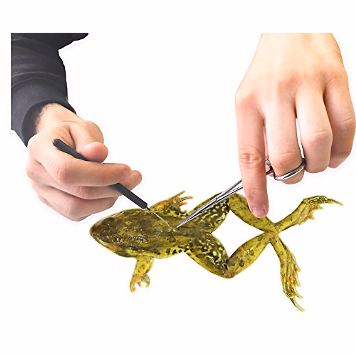 30 Pcs Advanced Biology Lab Anatomy Medical Student Dissecting Kit Set with Scalpel Knife Handle Blades Ideal for Student, Hobby, Taxidermy and More (DES-KIT-110)