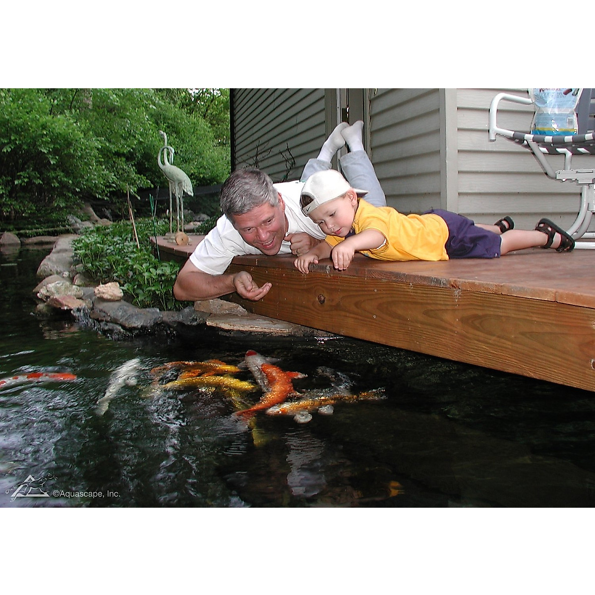 Aquascape Premium Color Enhancing Fish Food for Small to Medium Pond Fish, Medium Pellet, 1.1 Pounds | 98873