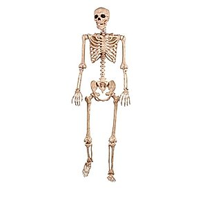 Crazy Bonez Pose-N-Stay Skeleton