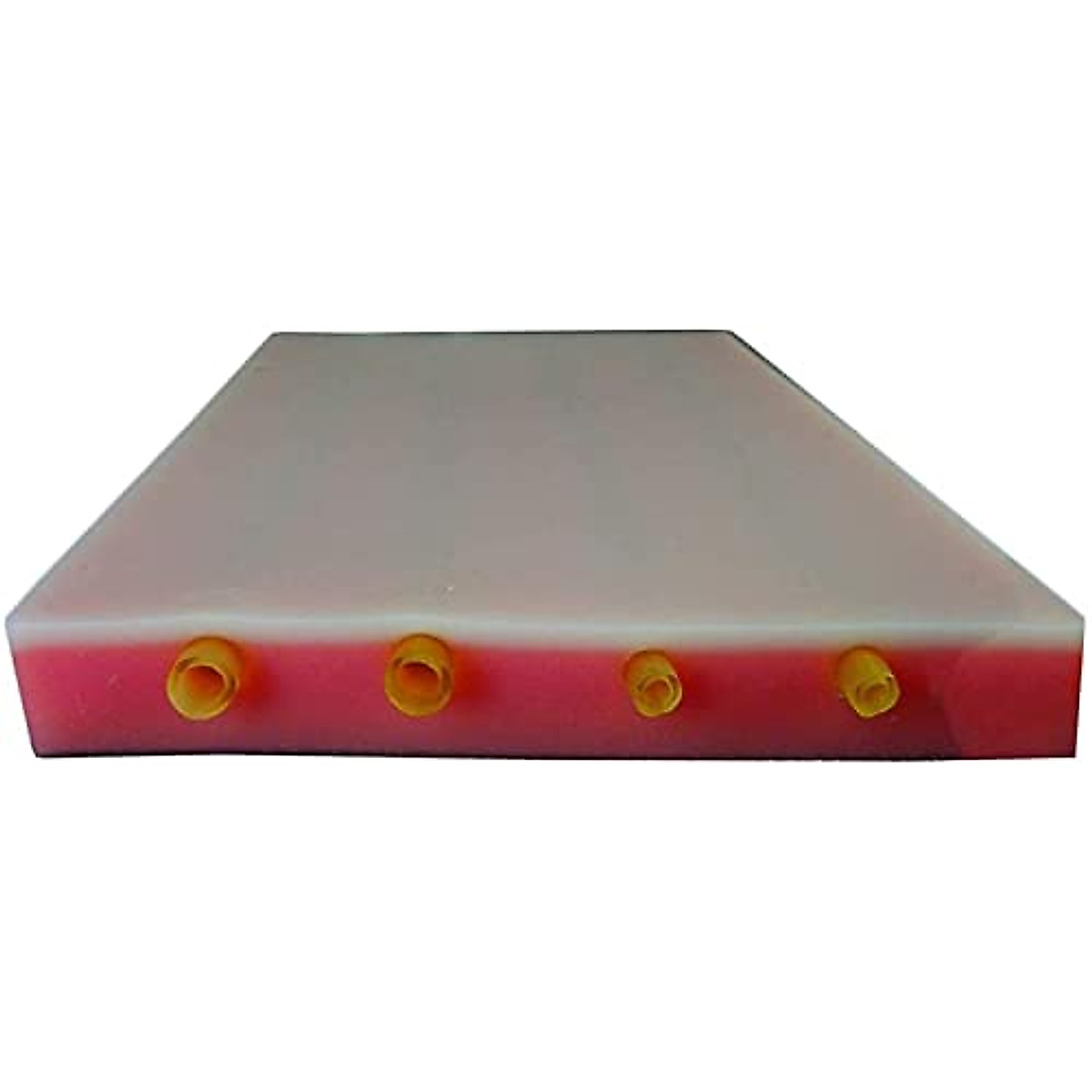 Anatomy Model Skeleton Model Silicone Human Skin Suture Training Model - IV Injection Practice Arm Model - IV Injection Pad - Veins Imbedded, for Medical Educational Training