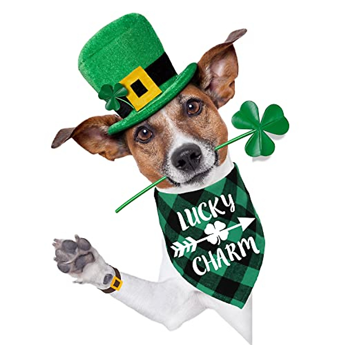 STMK 2 Pack, Plaid Bandana for Dog Puppy St. Patrick's Day Holiday Party Costumes (Lucky Charm & Kiss Me I’m Irish)
