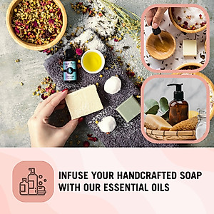 Citrus - Gift Set of 6 Premium Fragrance Oils - Lemon Grass, Lemon Blossom, Lemon Sugar, Lime, Grapefruit and Pineapple - 10ML