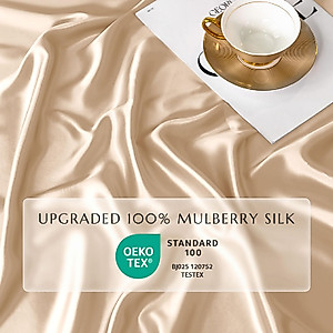 THXSILK Mulberry Silk Pillowcase, Champagne, Queen, 19 Momme, with Hidden Zipper, 20"