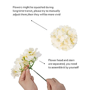 Auihiay 12 Pieces Artificial Hydrangea Flowers Silk Hydrangea Heads with Stems for Wedding Home Garden Party Decoration (Champagne)