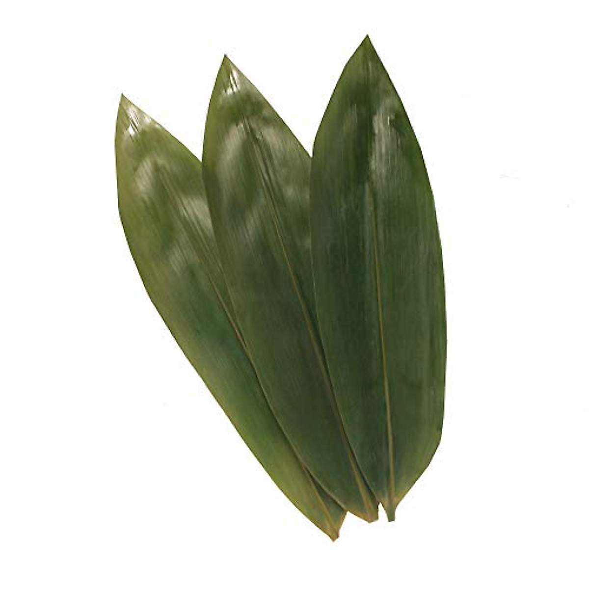 BambooMN Bamboo Leaves for Cooking Zongzi, Banana Leaf Alternative, Grilling/Barbeque, Natural Boiling Bags - 12.25 x 3.5 Inches - 100 pack