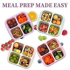 Luriseminger 4 Pack Bento Lunch Box，4 Compartment Snack Containers，Divided Bento Snack Box，Meal Prep Containers Kids/Toddle/Adults,Food Storage Containers for School, Work and Travel