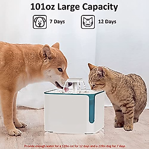 REDSASA Cat Water Fountain, Automatic Cat Fountain 3L/101oz, Dog Water Dispenser with Adjustable Pump, Ultra Quiet Intelligent Cat Drinking Fountains with 2 Filters, 2 Water Flow Settings