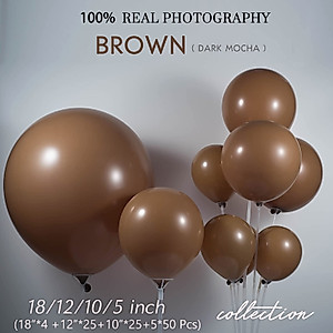 Dark Brown Balloons Different sizes 105 PACK 18/12/10/5 inch Brown balloon Garland Arch Kit For Teddy Bear Baby shower Safari boho Party Decorations (Brown)