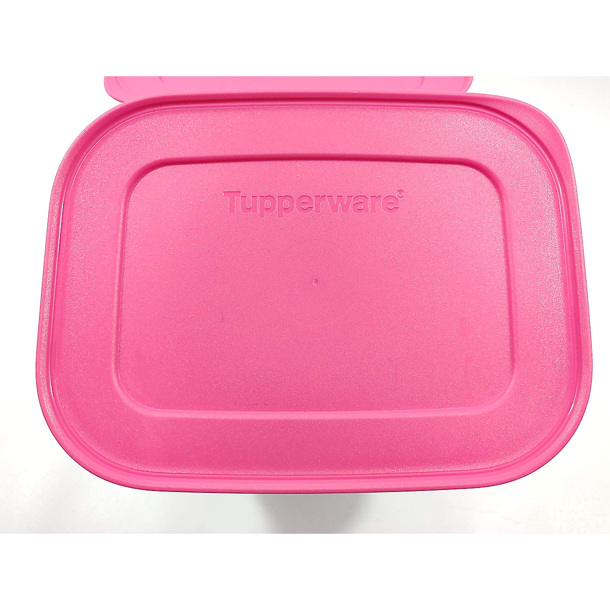 Tupperware Freezer Mate Plastic Container for Fridge and Freezer, 1.1 LTR (Set of 2) with Free Handkerchief