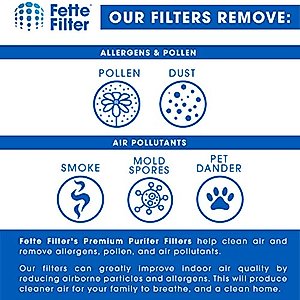 Fette Filter - Replacement Filter Compatible with Holmes HAPF7-U8 Smoke Grabber Ashtray. Fits Holmes Models: HAP70, HAP75, HAP76. Fits Pollenex Models: AT100, AT101 Pack of 12