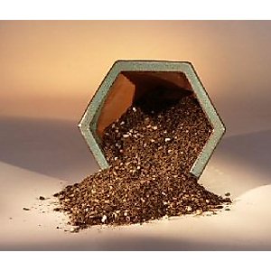 Bonsai Boy's Tropical Subtropical Mix Bonsai Soil - 2 lbs 1 Qt