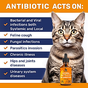 Natural Dietary Supplements for Cats and Dogs ◆ Cat Natural Dietary Supplement ◆ Natural Dietary Supplement for Cats ◆ Probiotics for Dogs ◆ Probiotics for Cats ◆ Bundle