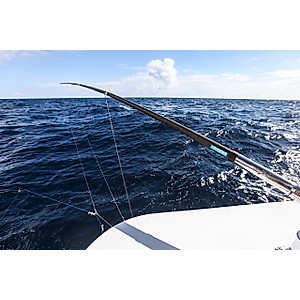 Tigress XD 3K Carbon Fiber 8' Telescoping Center Rigger with Patented Tigress Track Internal Tracking System, for use on Sports Fishing Boats up to 40 feet