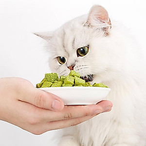 XISAOK Natural Cat Grass Wheatgrass Chewing Snacks Keep Your Cat Active and Happy Promote Dental Care Wheatgrass for Kitten
