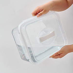 PandPot XXXXX-Large Glass Handy Container with Locking Lid 220OZ BPA Free Borosilicate Glass Family Size Party Size Extra Large Glass Locking Lid Bakeware Baking Dish with Airtight Lid with Handle