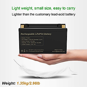 Talentcell 12V LiFePO4 Battery Pack LF120A1, Deep Cycle Rechargeable 153.6Wh 12.8V 12Ah Lithium Iron Phosphate Batteries