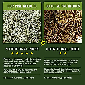 Organic Pine Needle Tea Bags, Natural Herbal Caffeine Free Teabag, Premium Pine Needles 30 Tea Bag - Strengthens Immunity