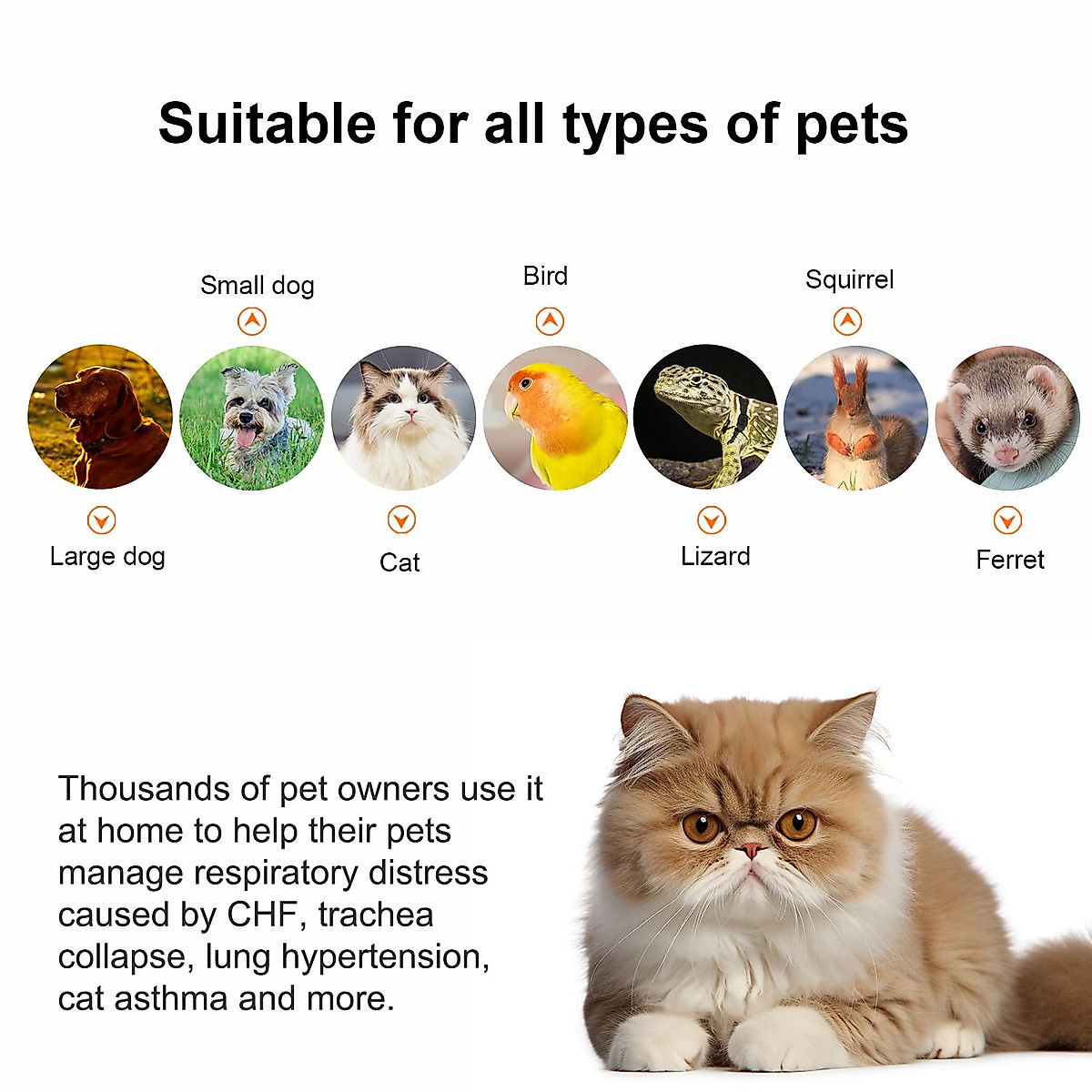 Ryxor Dog Oxygen Mask Set - 5 Sizes, 7 Feet Tubing - Veterinary Designed Breathing Aid for Dogs & Cats - Helps Relieve Breathing Distress from CHF, Tracheal Collapse, Asthma - Vet, EMS, Use（Green）