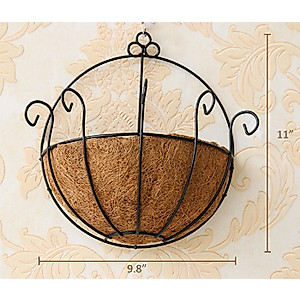 Tosnail 2 Pack Metal Wall Hanging Planter Basket with Coco Liner - Great for Indoor or Outdoor Plants
