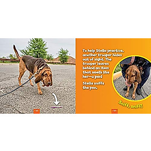 Doggy Defenders: Stella the Search Dog