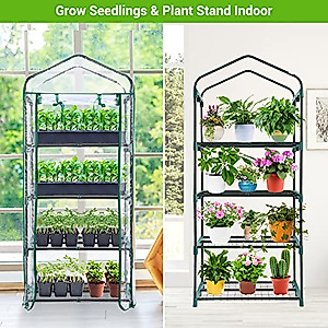 Mini Greenhouse for Outdoors Indoor: Ohuhu Small Green House with 4 Tier Shelves, Portable Plastic Greenhouses with Heavy Duty Transparent PVC Cover for Winter Garden Patio Backyard Porch Balcony