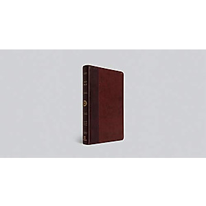 ESV Large Print Thinline Bible (TruTone, Burgundy/Red, Timeless Design)