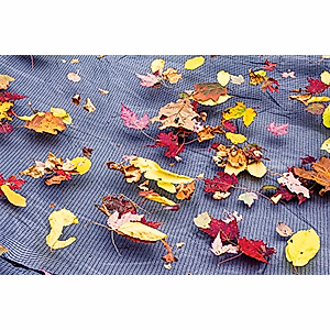 Pool Mate 451836R-PM Ground Pool Leaf Net, 18 x 36-ft, 2. Premium