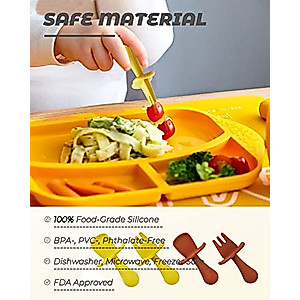 4 Pcs Baby Spoons Self Feeding 6 Months, Silicone Baby Spoons First Stage, Toddler Utensils for Baby Led Weaning with 2 Cases (Caramel, Tumeric)