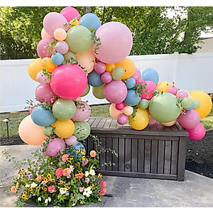Beaumode Wildflower Floral Balloon Arch Garland kit 164pcs for Girls First Birthday Wild One Little Wildflower Shower Baby in Bloom Summer Graden Bridal Shower Party Decoration (Wildflower)